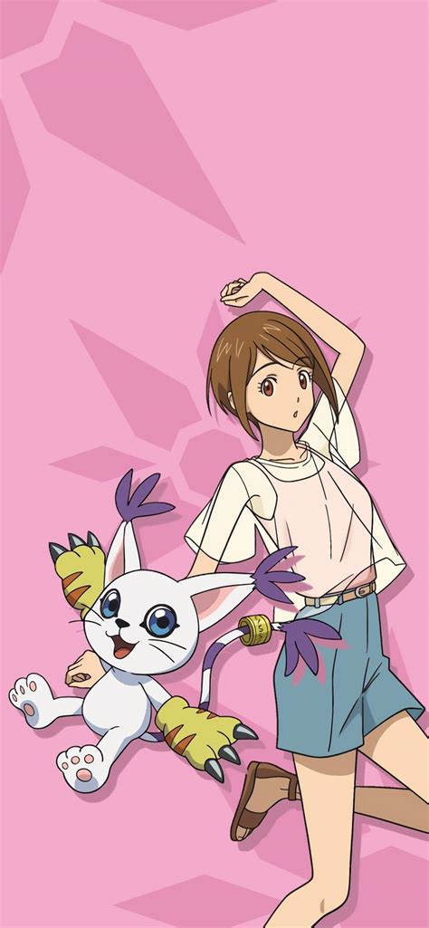 Hikari E Tailmon Digimons Adventure Anime Digimons