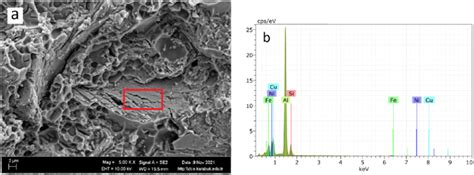 A Sem Image Of 05 Ni Alloy Taken From Fracture Surface B Eds