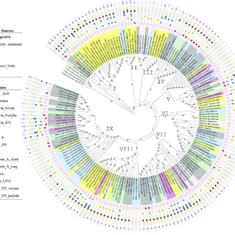 A Molecular Modeling Of Pediocin Like Bacteriocins Of P Pentosaceus