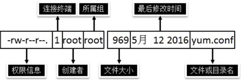 Linux常用指令 熬夜总冠军 博客园