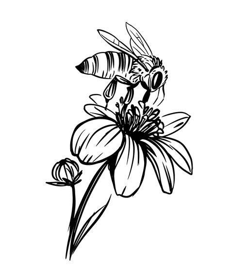 Premium Vector Bee On A Flower Vector Sketch Illustration Hand Drawn