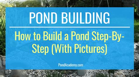 How To Build A Pond Step By Step With Pictures