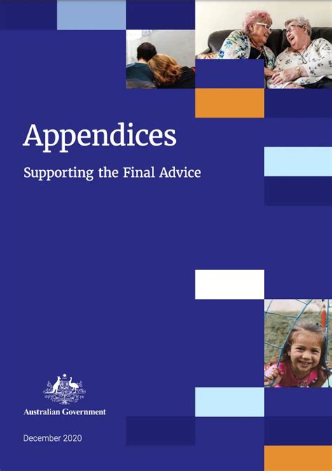 Appendices Supporting The Final Advice National Suicide Prevention Office National Mental