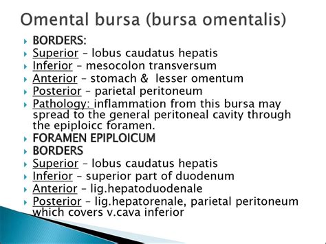 Clinical Anatomy Of Abdominal Cavity презентация онлайн