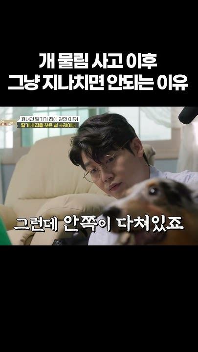 개들은 밖에서 보이는 상처가 다가 아닙니다 개 물림 사고 시 겉 상처만 보고 판단하면 안되는 이유 Shorts Youtube