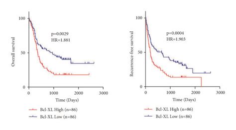Bcl Xl Positively Correlates With Gata1 And Is A Prognostic Marker For
