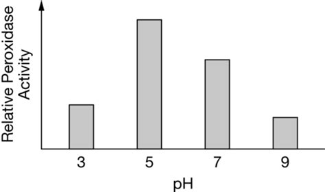 Ap Bio Unit 3 College Board Questions Flashcards Quizlet