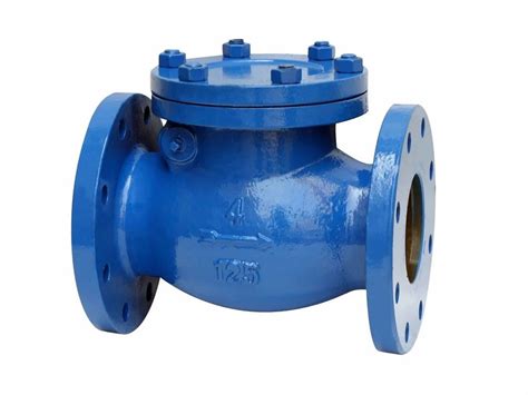 Cs Check Valve At ₹ 1000 Piece Cast Steel Check Valve In Ahmedabad Id 2853214885088