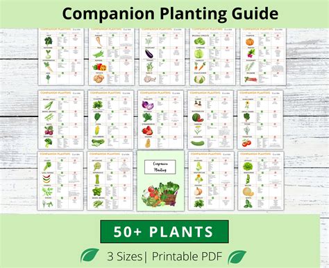 Companion Planting Guide Garden Organizer Plant Guide Plant Planner Planting Log Garden