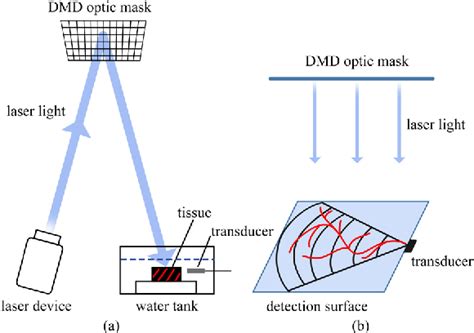 Figure 11 From Compressed Sensing For Biomedical Photoacoustic Imaging A Review Semantic Scholar