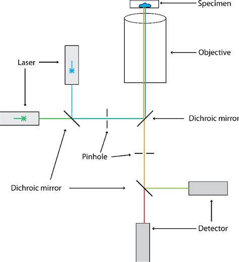 Figure 1 1 From The Cytosolic State Of The Integrin Adhesome And Its Relation With Cell Matrix