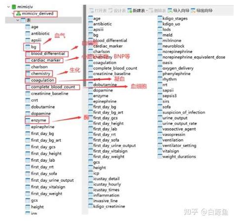 Mimic Iv数据库， 什么是mimicivderived可视化视图 知乎