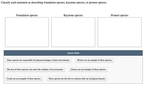 Solved Classify Each Statement As Describing Foundation