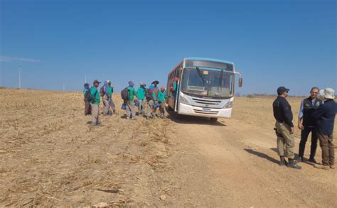 Trabalho Escravo Milhares Pessoas Foram Resgatadas De Trabalho Escravo Contempor Neo Em No