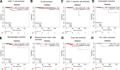 The Survival Analysis Of Tmprss4 Expression After Stratified By Immune