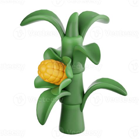 Corn Stalk 3d Illustration 47246666 Png