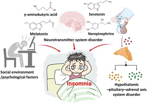 New Hints For Improving Sleep Tea Polyphenols Mediate Gut Microbiota