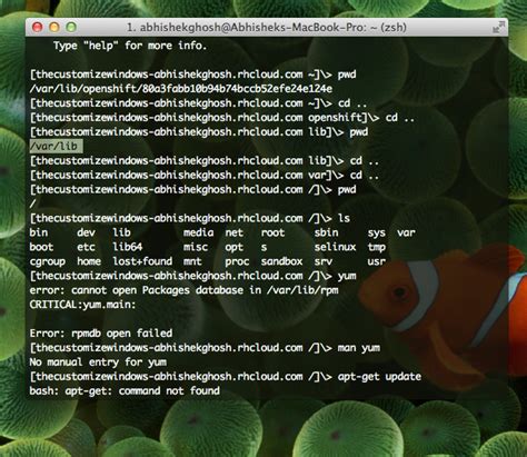 shell access on openshift line tools unix cloud computing
