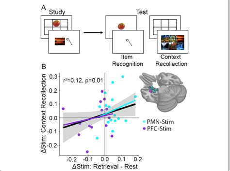 Increased Memory Dependent Connectivity Predicts Episodic Memory Download Scientific Diagram