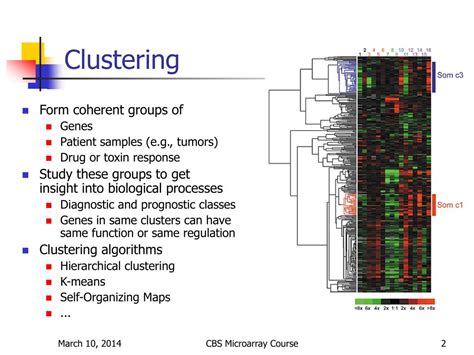 Ppt Gibbs Biclustering Of Microarray Data Powerpoint Presentation Free Download Id185436