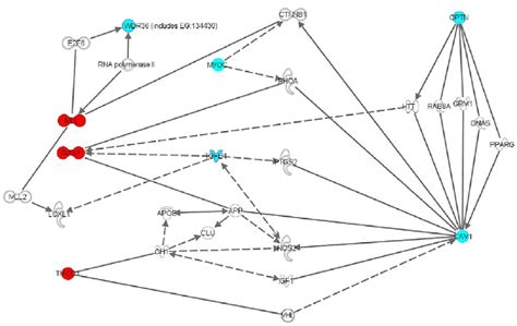 Biochemical And Functional Interactions Between Putative Glaucoma