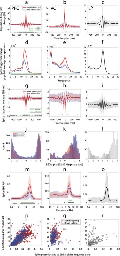 Population Coupling And Spike Eeg Coupling Are Stronger For Download Scientific Diagram