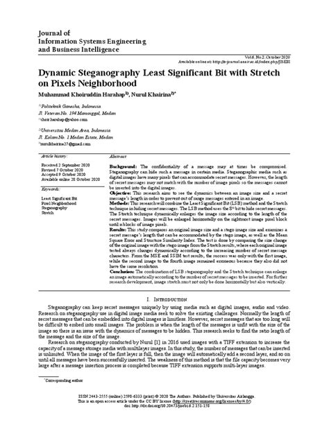 Dynamic Steganography Least Significant Bit With Stretch On Pixels Neighborhood Pdf Applied