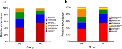 Composition Of The Bacterial Community At The Phylum Level For Pe And Download Scientific