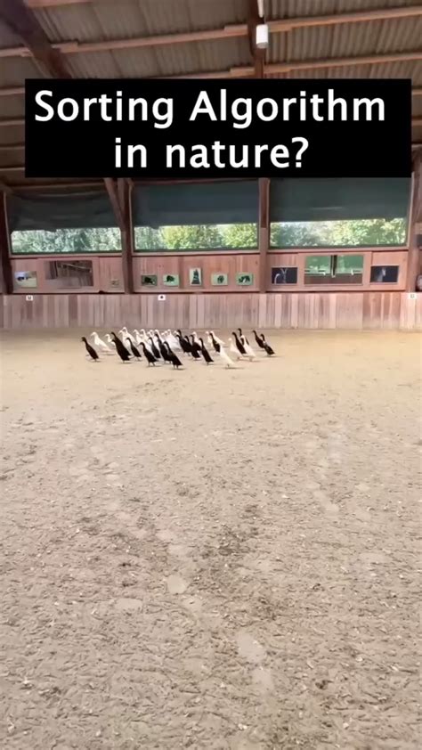 technical assets tell me about yourself most asked interview question follow for more content