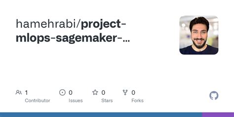 Github Hamehrabi Project Mlops Sagemaker Mlflow Terraform