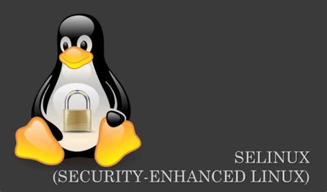 how to setup selinux on a linux server techdirectarchive