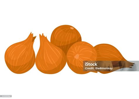 모듬 된 신선한 야채 농부 마커 식료품 점 제로 폐기물 가게 현지 시장 음식 신선하고 유기농 농산물 맛있고 건강한 음식 건강한 생활방식에 대한 스톡 벡터 아트 및 기타