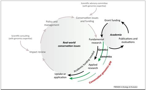 The Conservation Genomics Gap