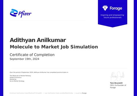 adithyan anilkumar on linkedin i just completed pfizer uk s molecule to market job simulation
