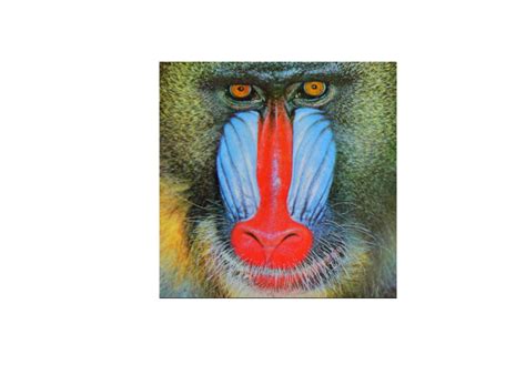 Color Quantization In R W Imager