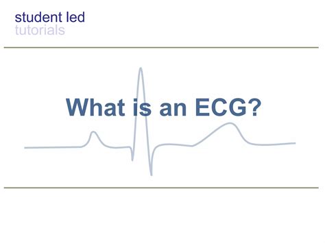 The Basics Of ECG Interpretation PPTX