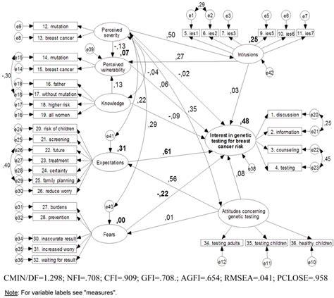 Modified Structural Equation Model Standardized Estimates N181