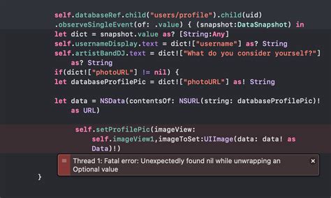 Swift Fatal Error When Trying To Display Picture From Database