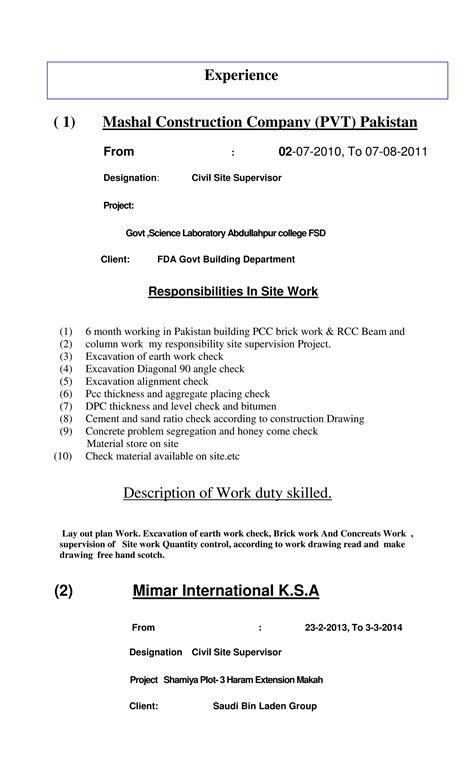 cv muhammad tayyab mehmood pdf pdf