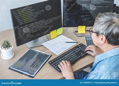 Senior Professional Programmer Working At Developing Programming And