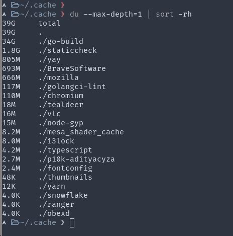 Make Sure To Clean Your Go Build Cache Aditya Thebe
