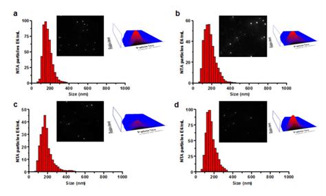 Size Distribution From Nta Measurements With The Corresponding Nta