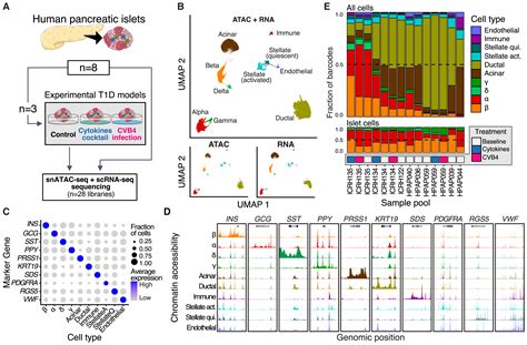 Integrative Single Cell Multi Omics Profiling Of Human Pancreatic