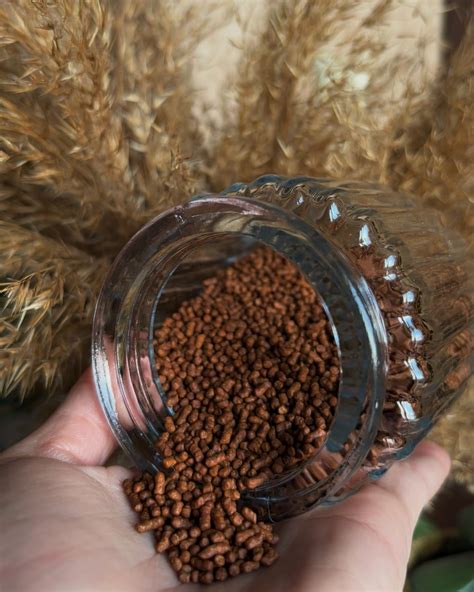 წიწიბურას ჩაი 🫖 წიწიბურას სასმელი დადებითად მოქმედებს არა მხოლოდ ჯანმრთელობაზე და მთელი