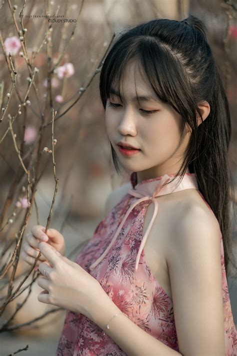 Tet Holiday Aodai Free Photo On Pixabay Pixabay Tet Holiday Aodai Free Photo On Pixabay Pixabay
