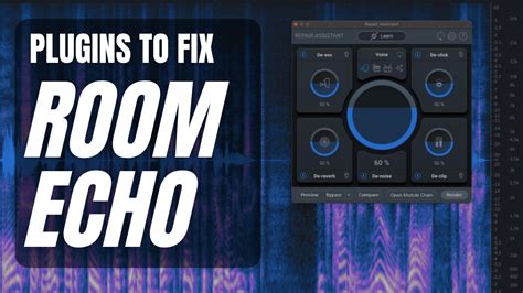 Can Plugins Fix My Untreated Room Echo