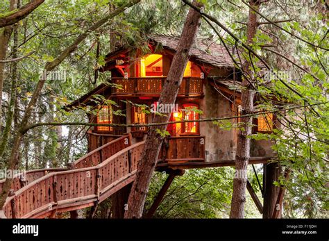 Wooden Walkway To Illuminated Tree House Stock Photo Alamy