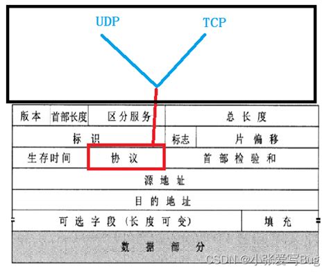 【网络】ip协议 Csdn博客 【网络】ip协议 Csdn博客