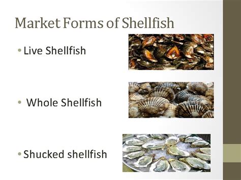 Fish And Shellfish Processing Two Kinds Of Fish